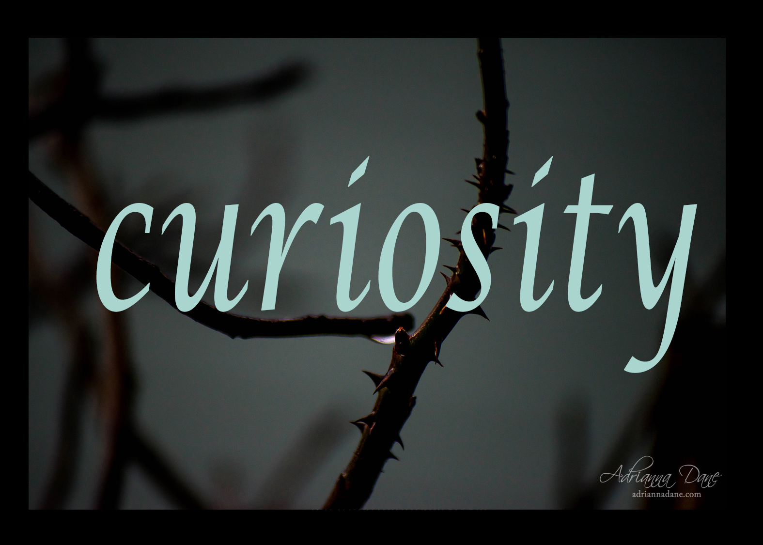 Word Drops: Curiosity – Eclectic Alchemy