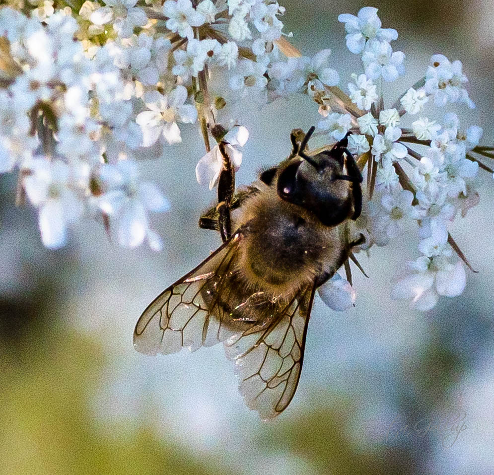 Eclectic Alchemy – Page 2 – Creative Wanderings from the Pen of ...